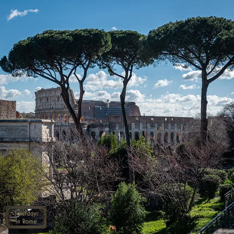 What Can I Visit On Palatine Hill In Rome?