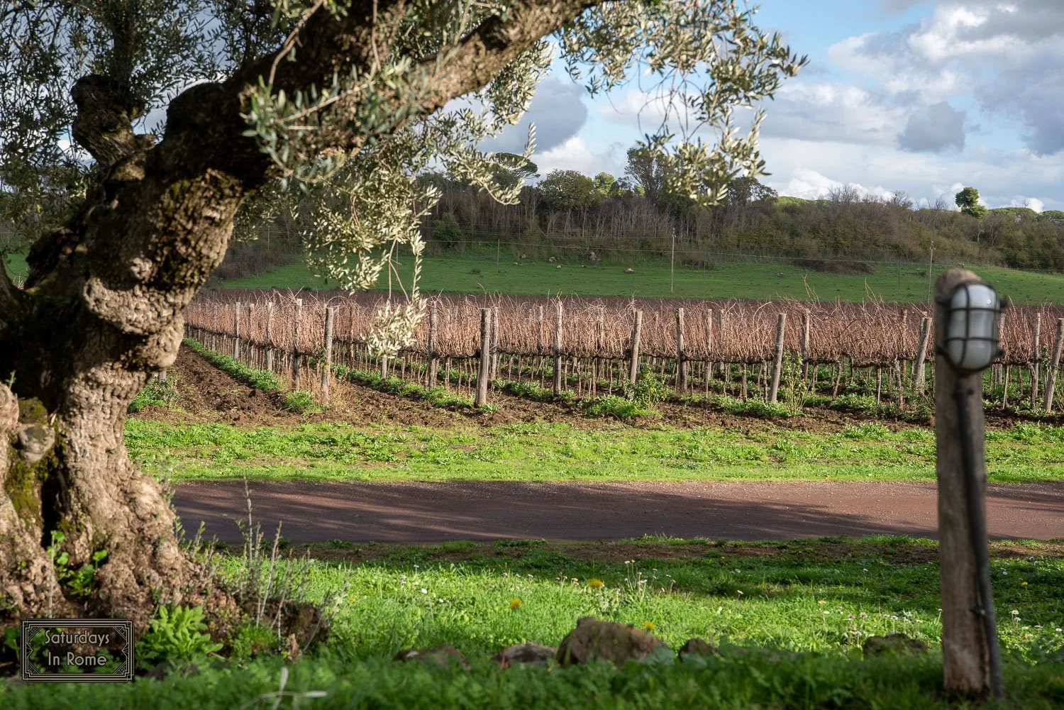 Experience The Best Wineries Near Rome - L’Orto di Alberico