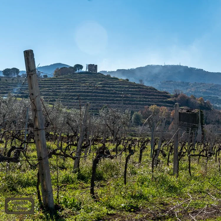 The Frascati Lazio Wine Region Is Perfect For A Tour