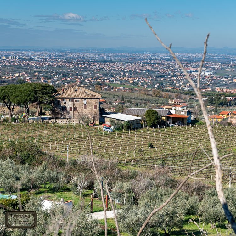 A Tourist’s Guide To Enjoying Roman Wine