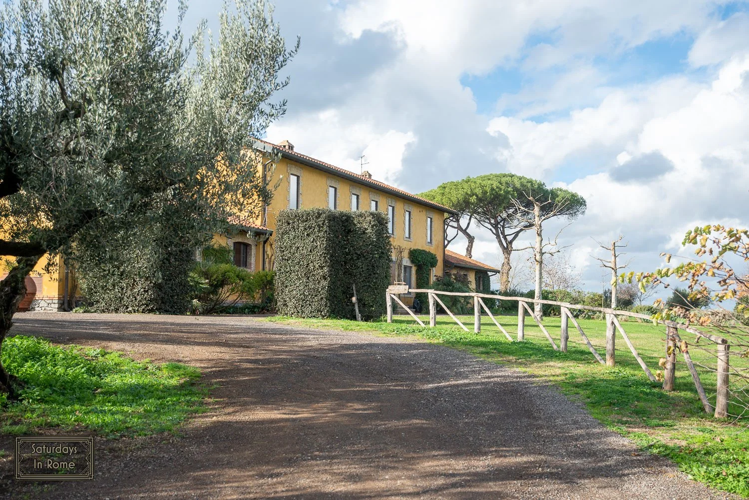 Experience The Best Wineries Near Rome - L’Orto di Alberico