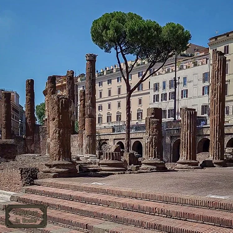 Largo Argentina’s History Up Close