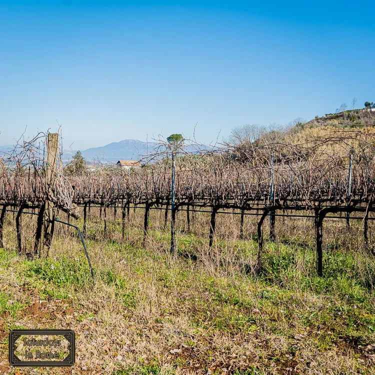 Rome In March - Planning Tips For An Amazing Roman Holiday