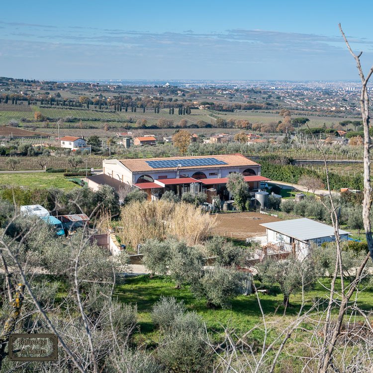Tenuta Le Quinte Is One Of The Best Vineyards Near Rome