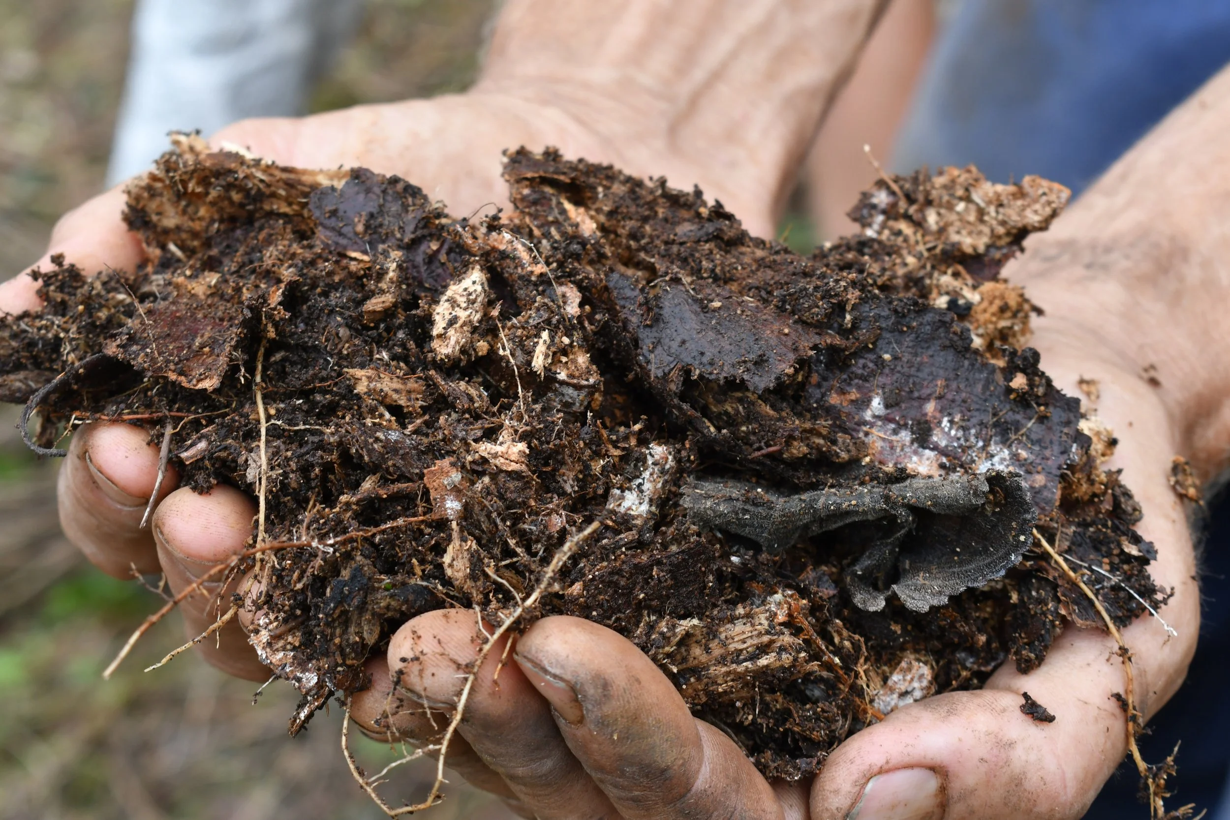 Store 1 — Growing Roots Permaculture