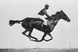 Eadweard Muybridge — Disparafilm - Fotografía analógica en Español