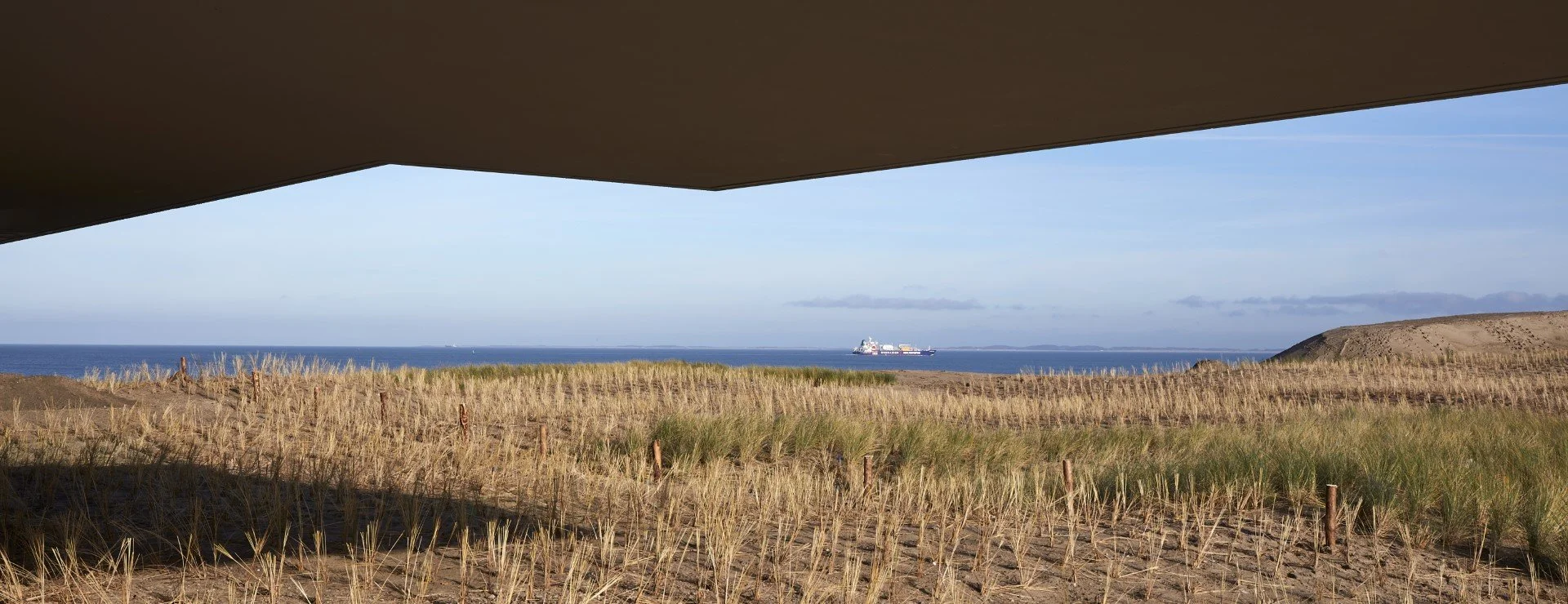 studio đempsey - Bezoekdagen