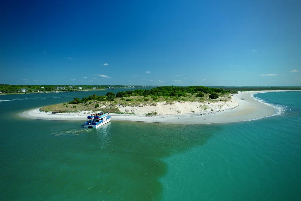 Press — Turtle Cove