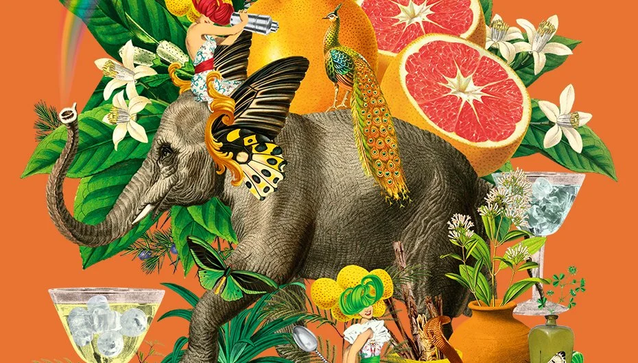 Eleven Miles selected as global web design agency for premium drinks ...