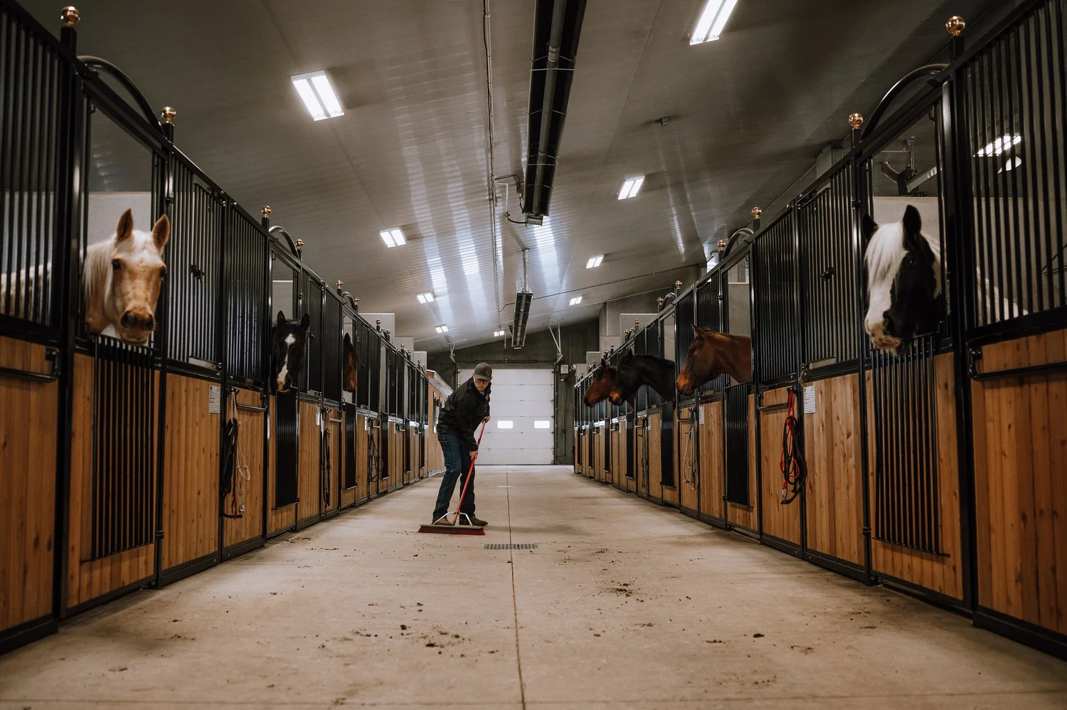 Rental Information — Horse In Hand Ranch | Blackfalds Alberta