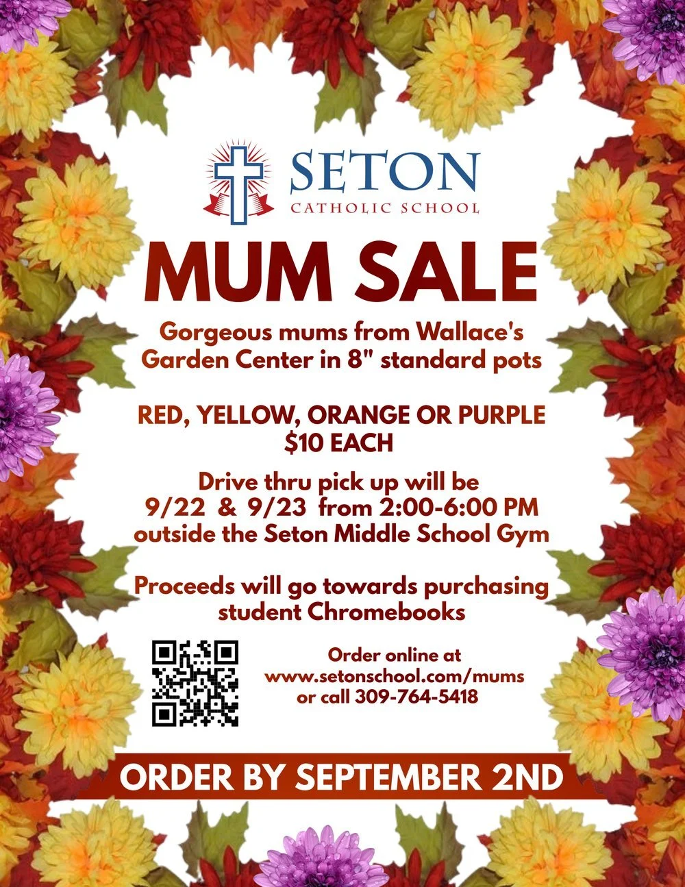 Seton Mum Sale — Sacred Heart Catholic Church, Moline, Illinois