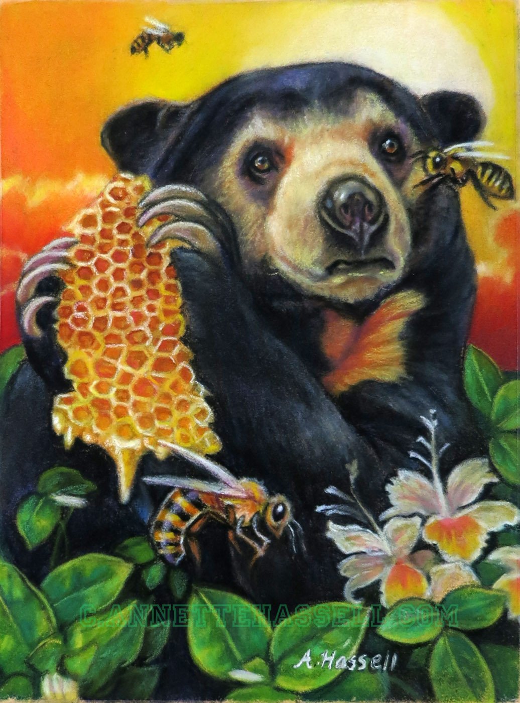 Pastels and Portraits — Annette Hassell Art