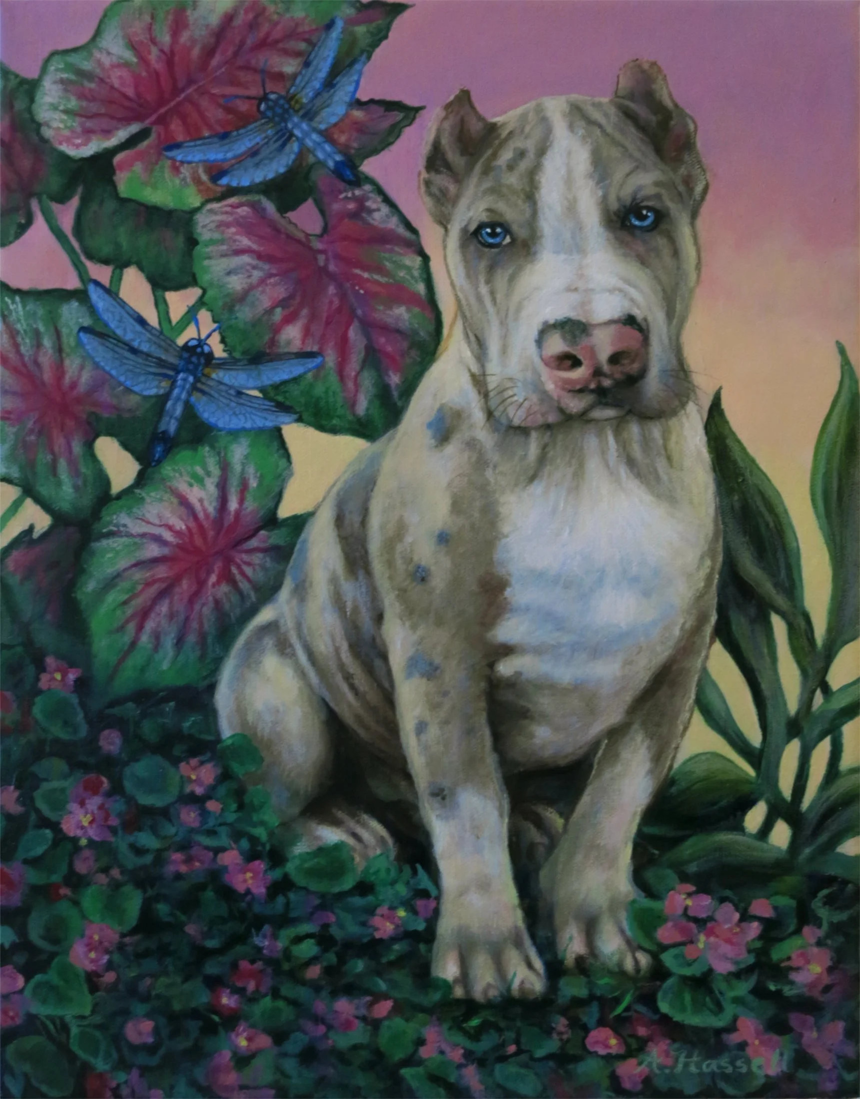 Annette Hassell Art