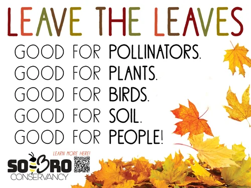 Leave the Leaves — SoBro Conservancy of Saratoga