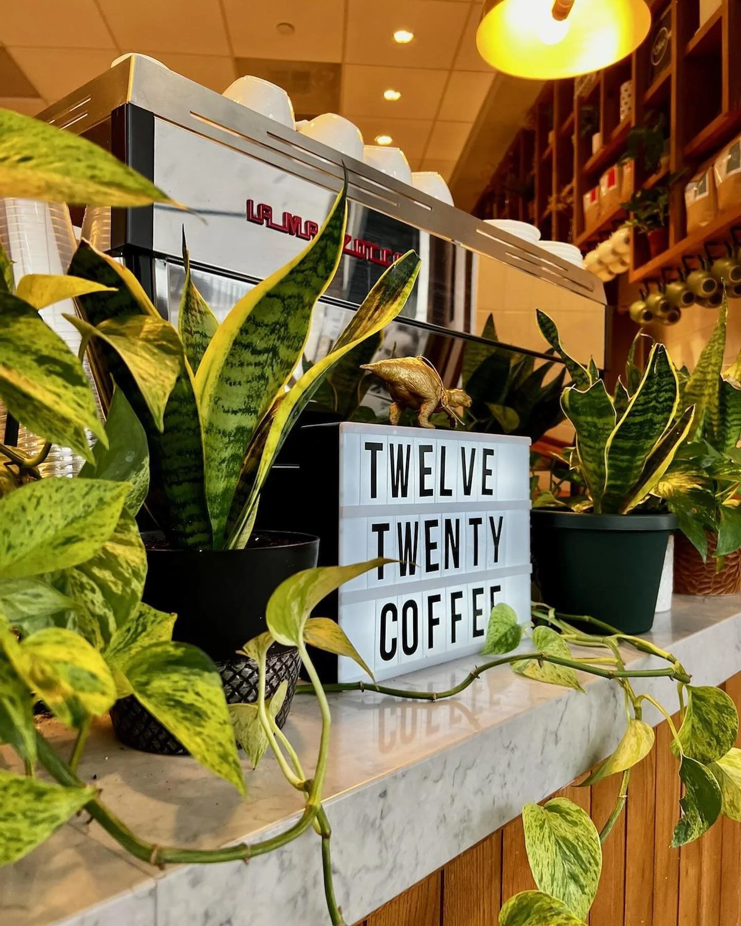 Twelve Twenty Coffee