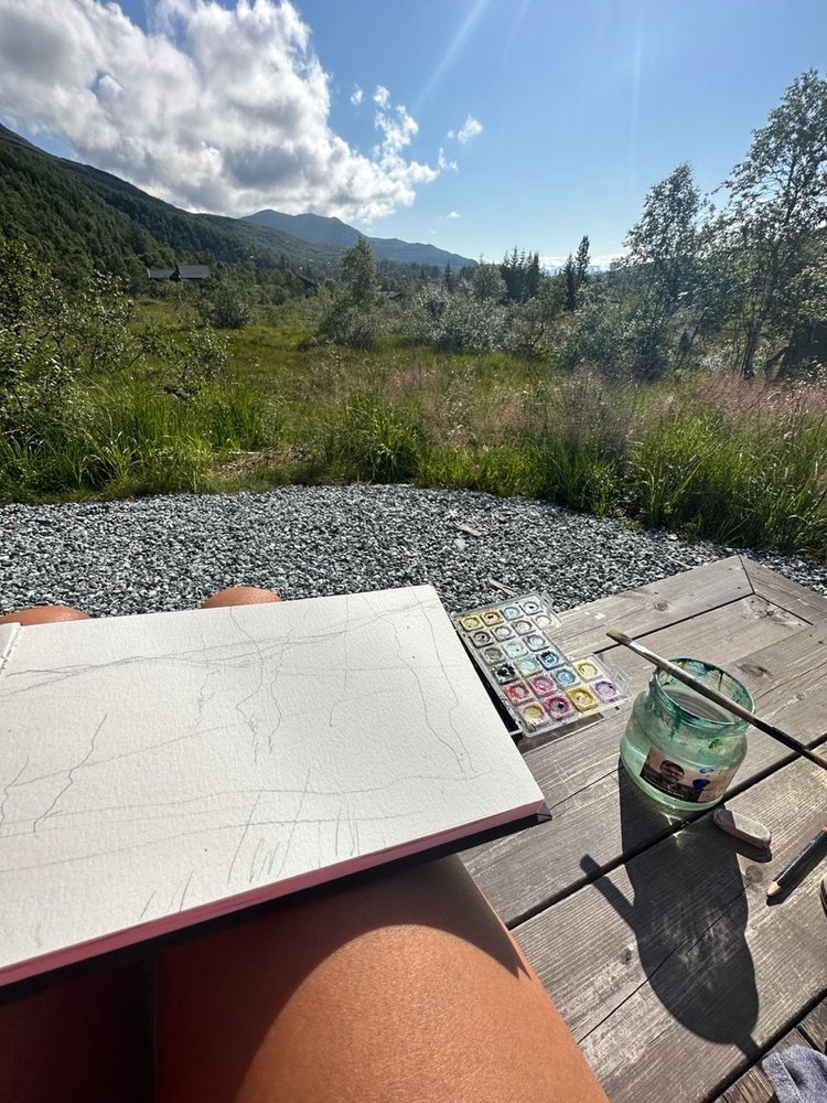 Artist Diary - Thoughts, ideas and process of an artist — Anna Haaland Art