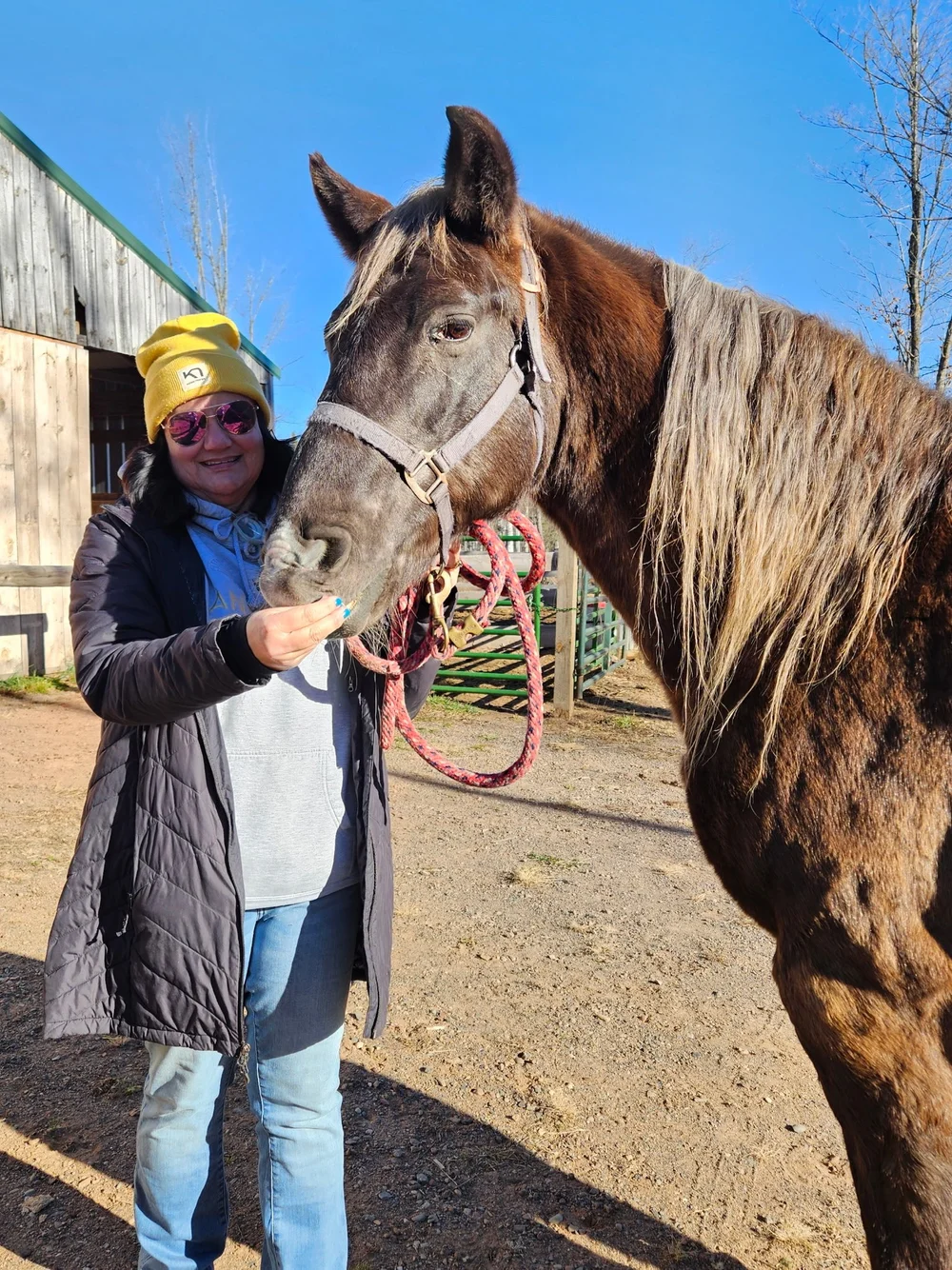 GRG Ranch Alumni — GRG Ranch Horse Rescue & Sanctuary