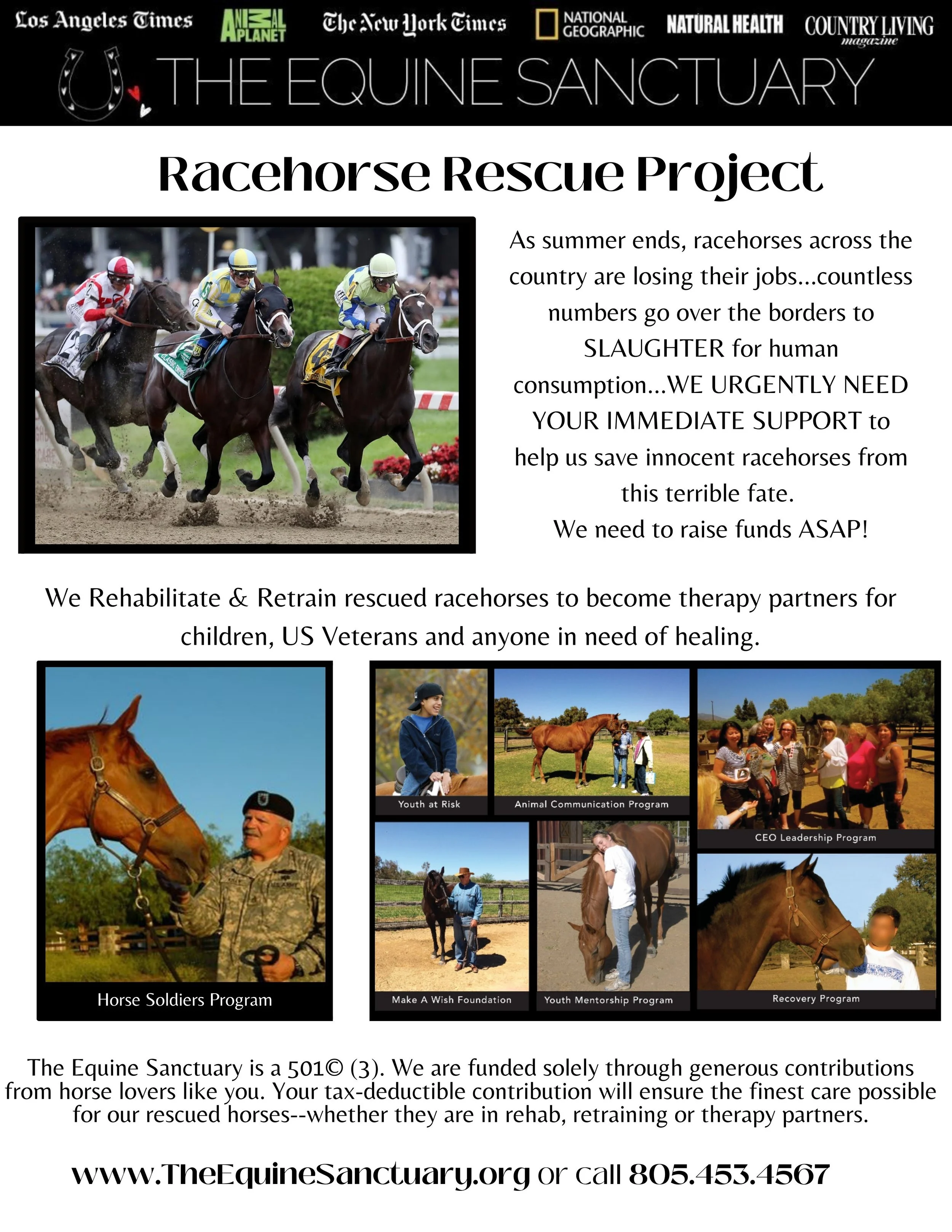 Racehorse Rescue Project — The Equine Sanctuary