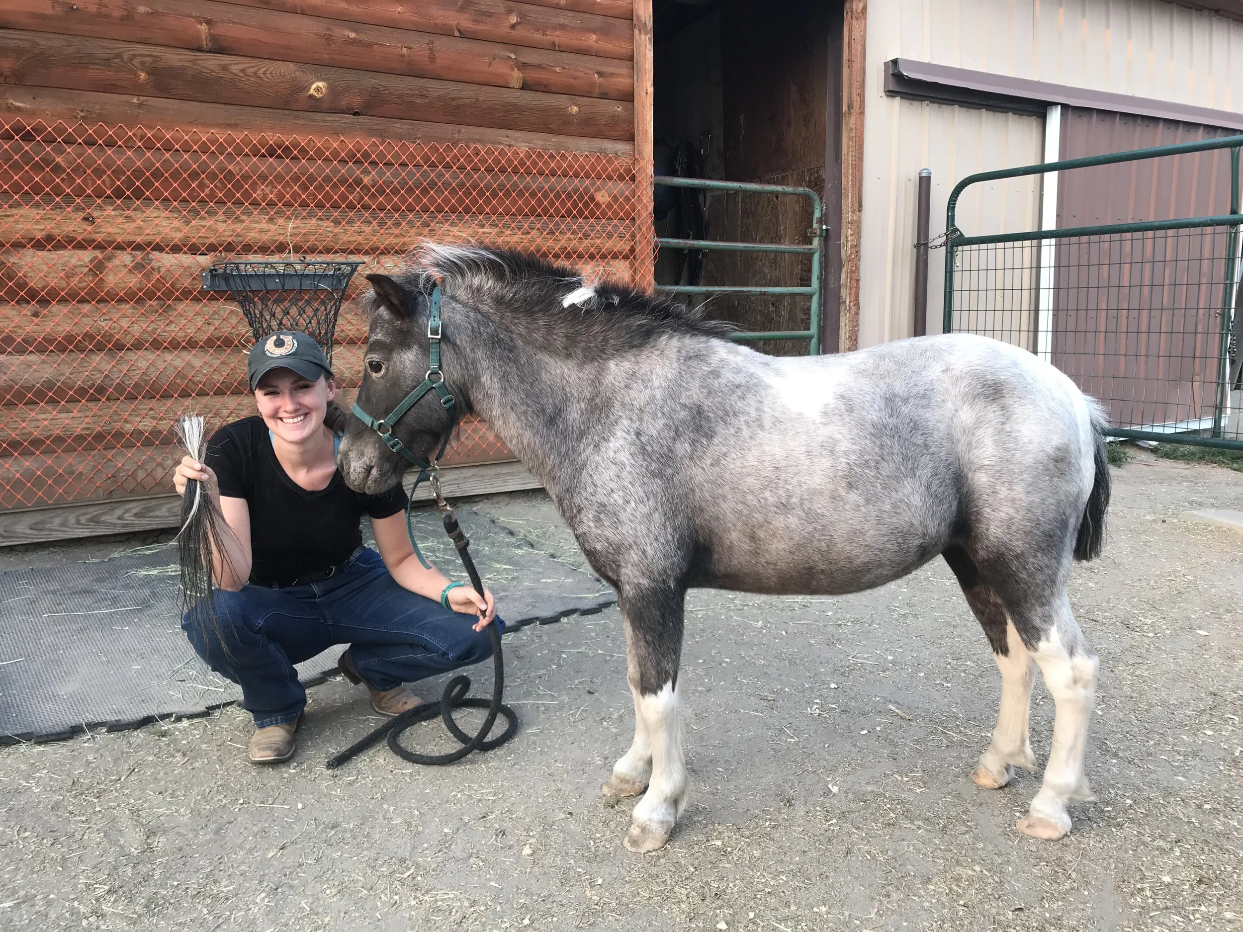 Volunteer — The Equine Sanctuary