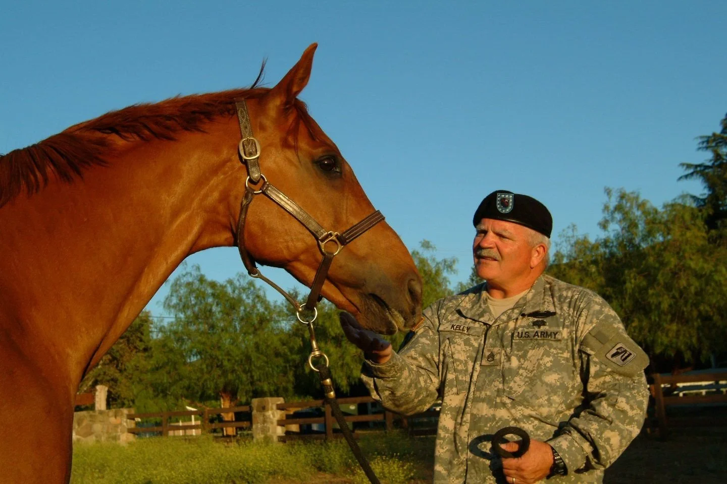 Horse Soldiers — The Equine Sanctuary