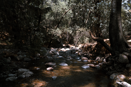 Conócenos — La Cañada Parque Natural