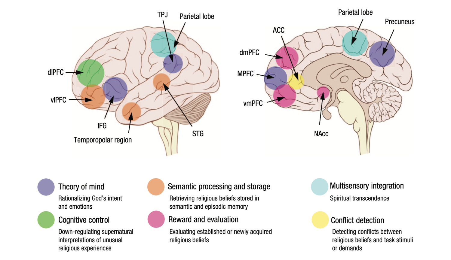 About: Project — Cognitive Neuroscience of Religious Cognition