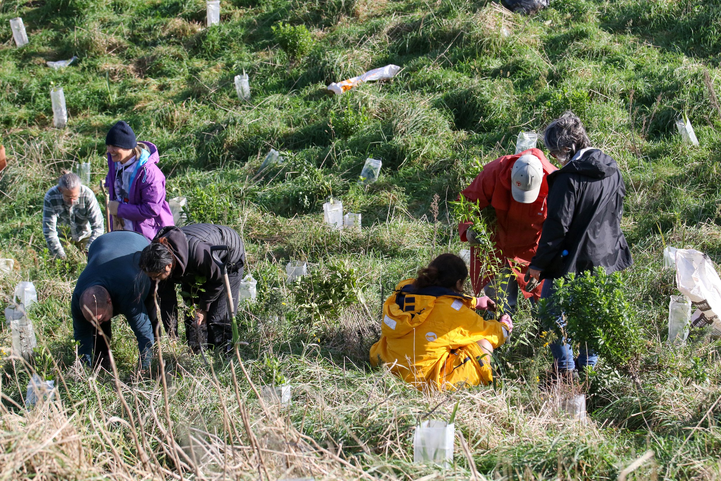 ARO Project — Praxis