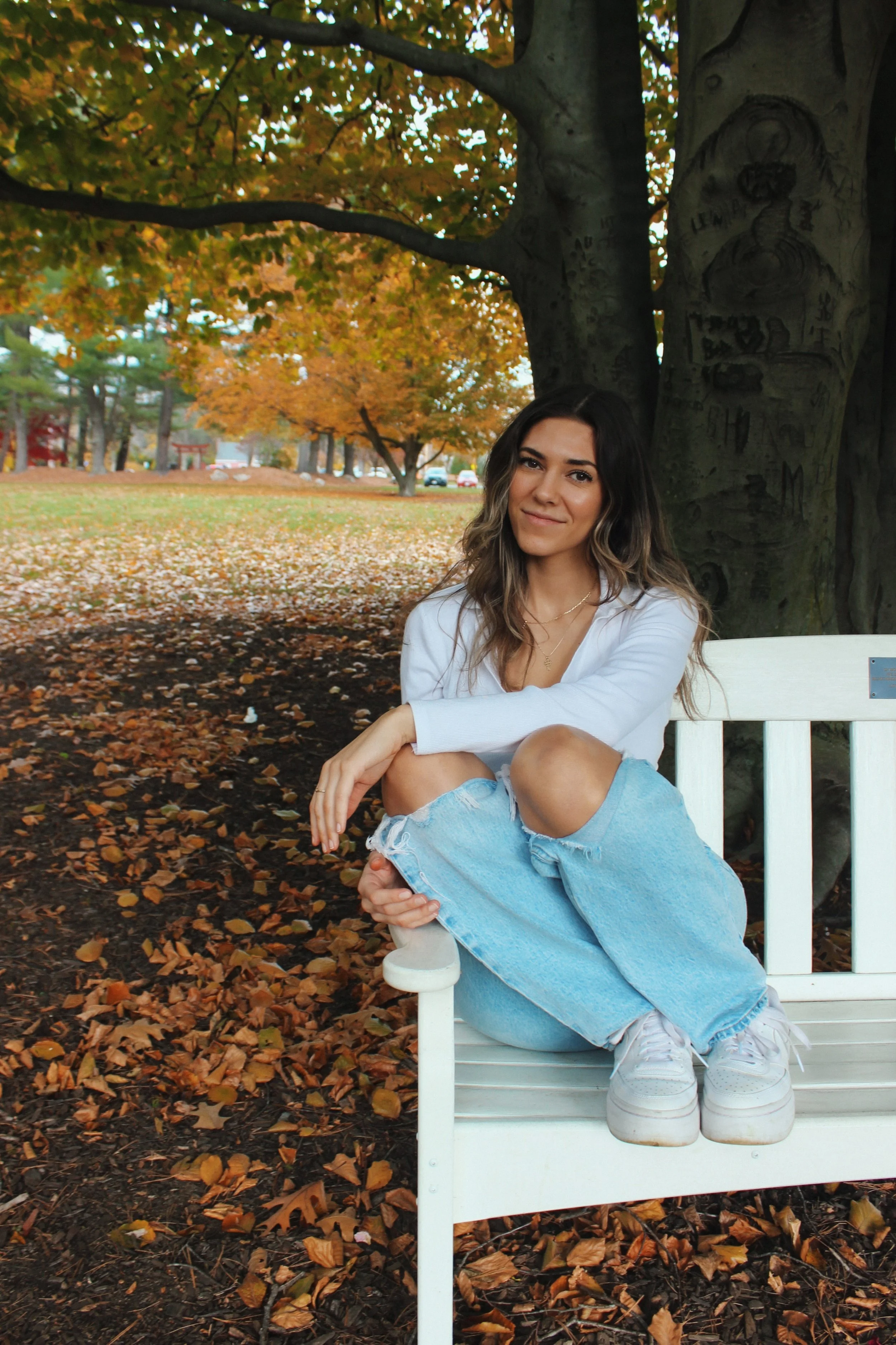 About — Alyssa Stevens