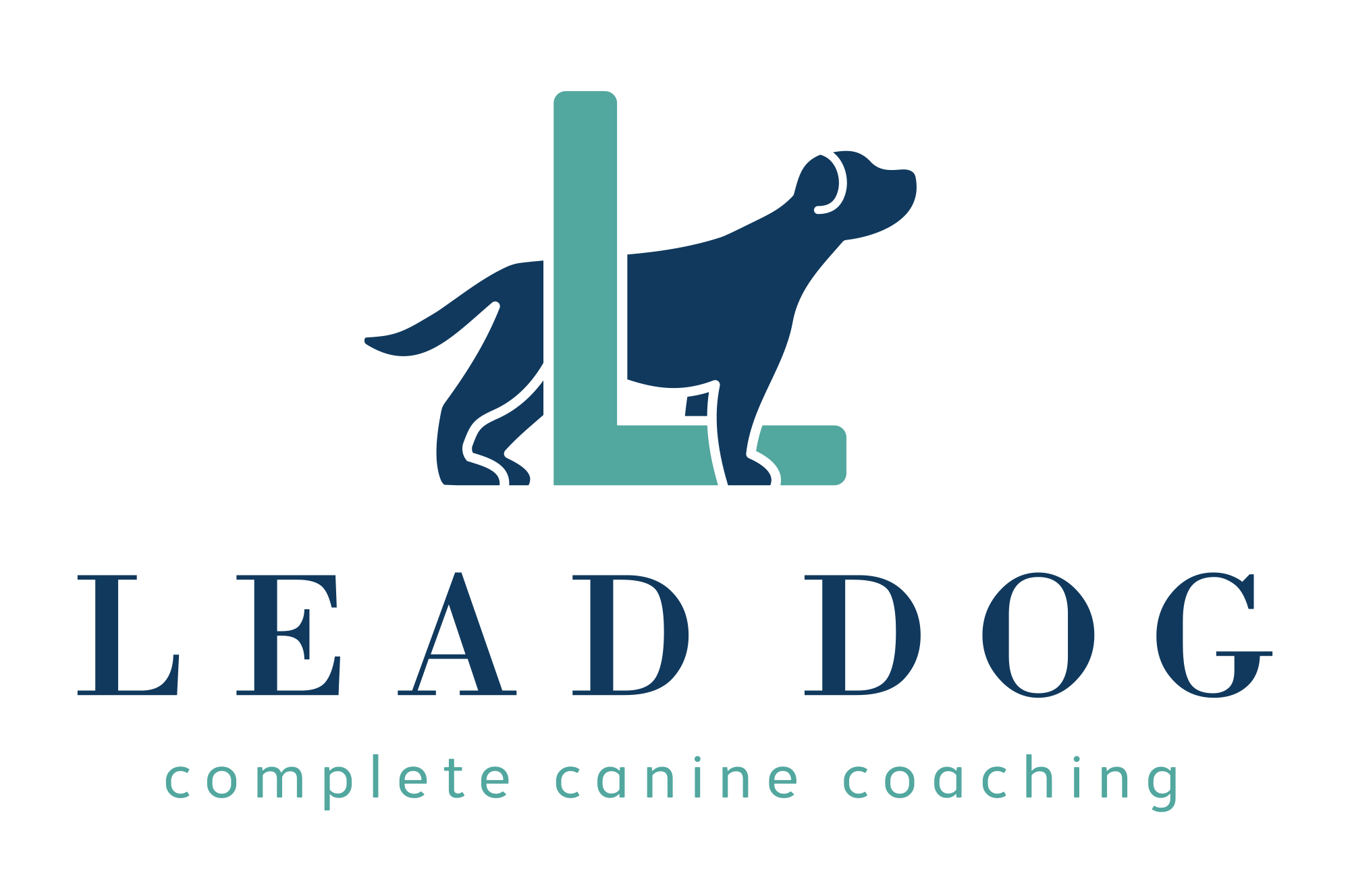 Leader Dog Training