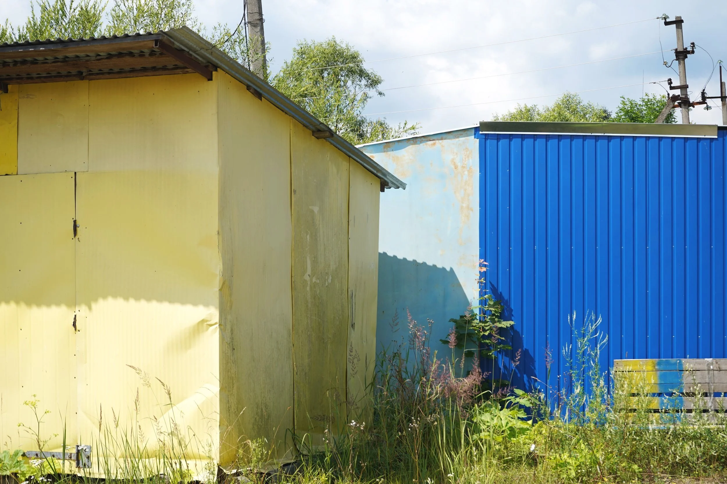 About — Sunflower Network