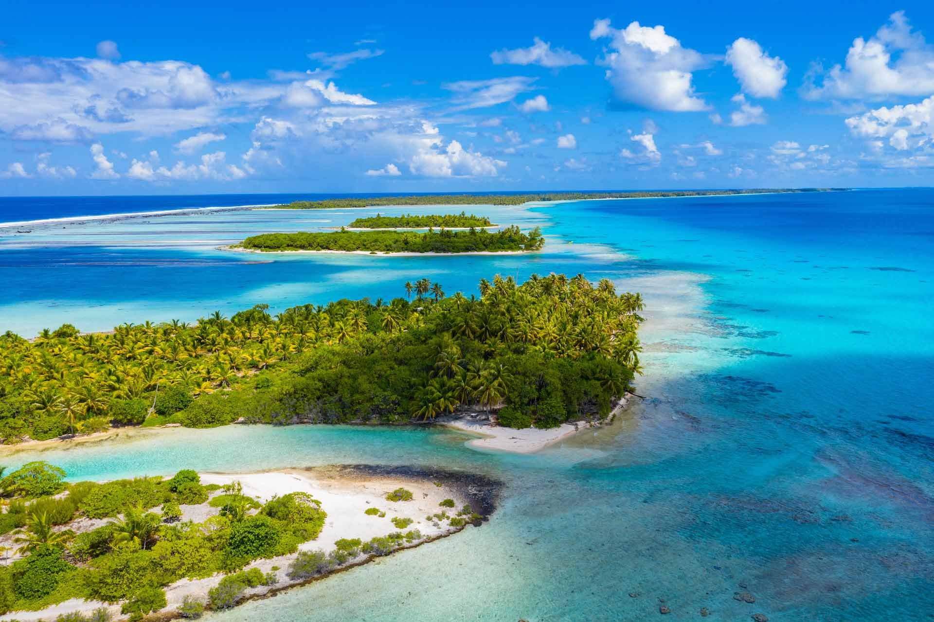 nem Australasia Joins Australia Pacific Islands Business Council — nem ...