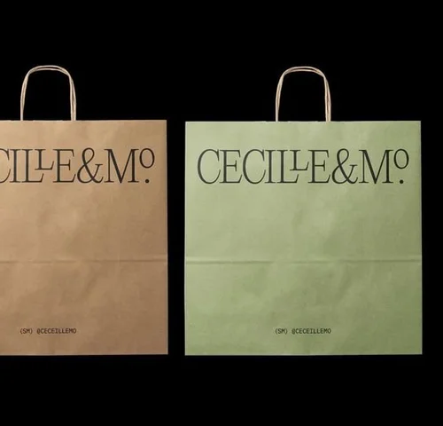 Creative carry-alls: A showcase of inspiring paper carry bag designs ...