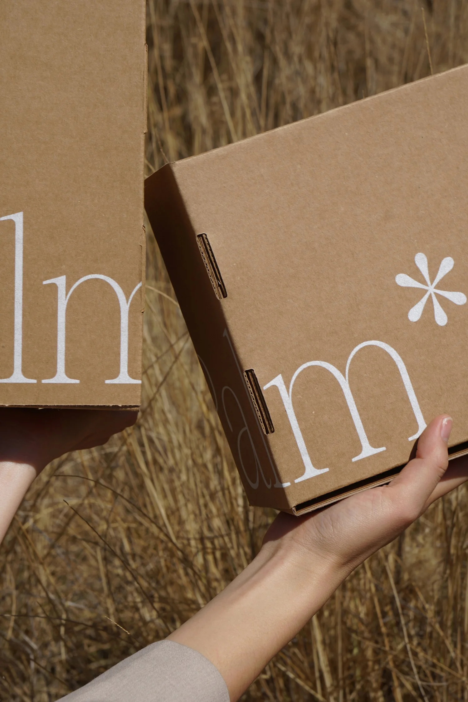 15+ inspiring examples of minimalist white and kraft packaging done ...