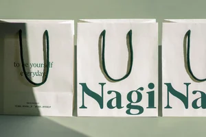 Creative carry-alls: A showcase of inspiring paper carry bag designs ...
