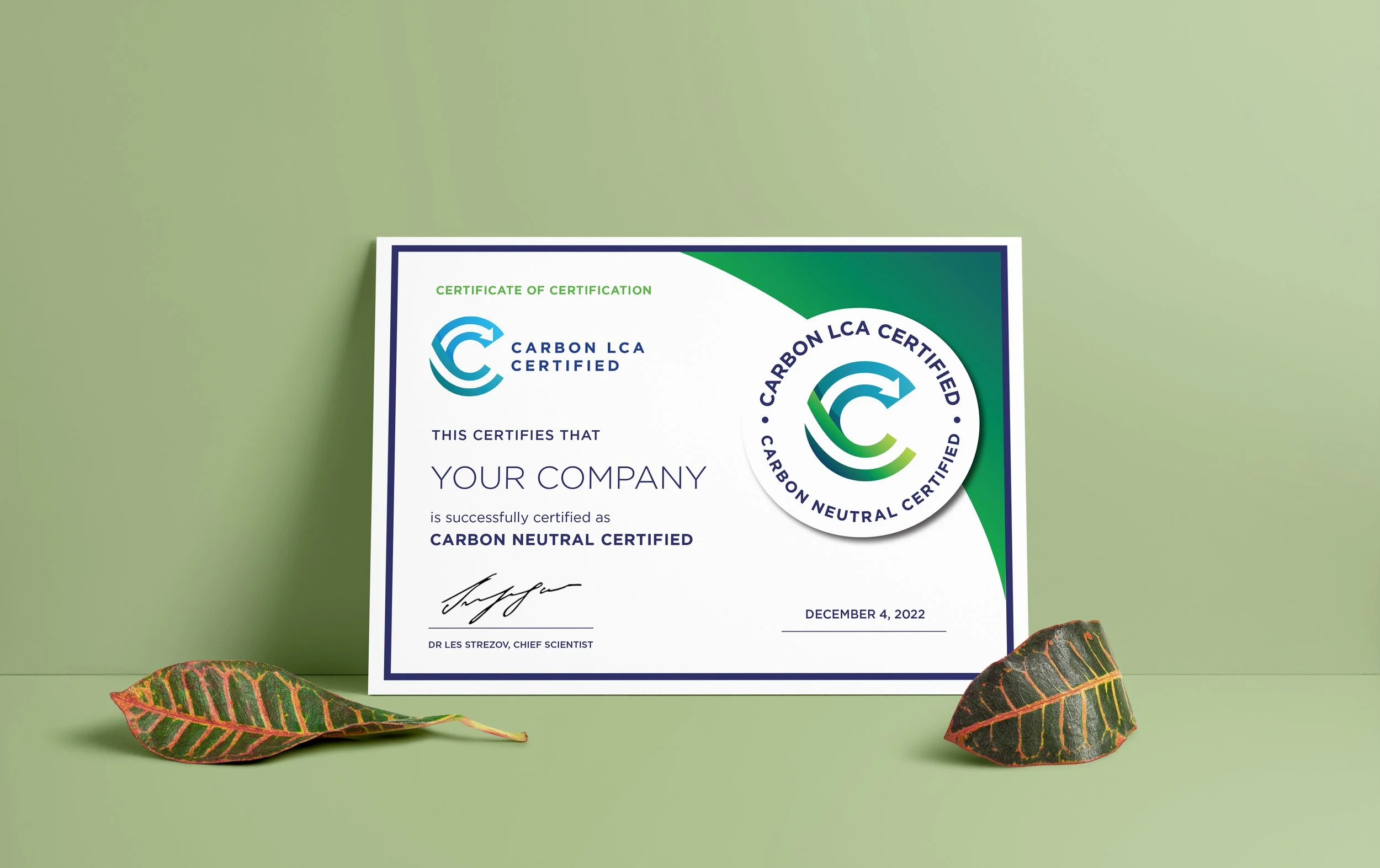 Get Certified: Carbon Footprint Calculation & Life Cycle Assessment — Carbon Footprint & LCA ...