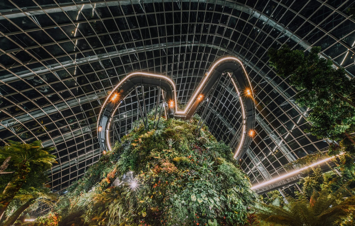 Portfolio Companies — Betatron Venture Group