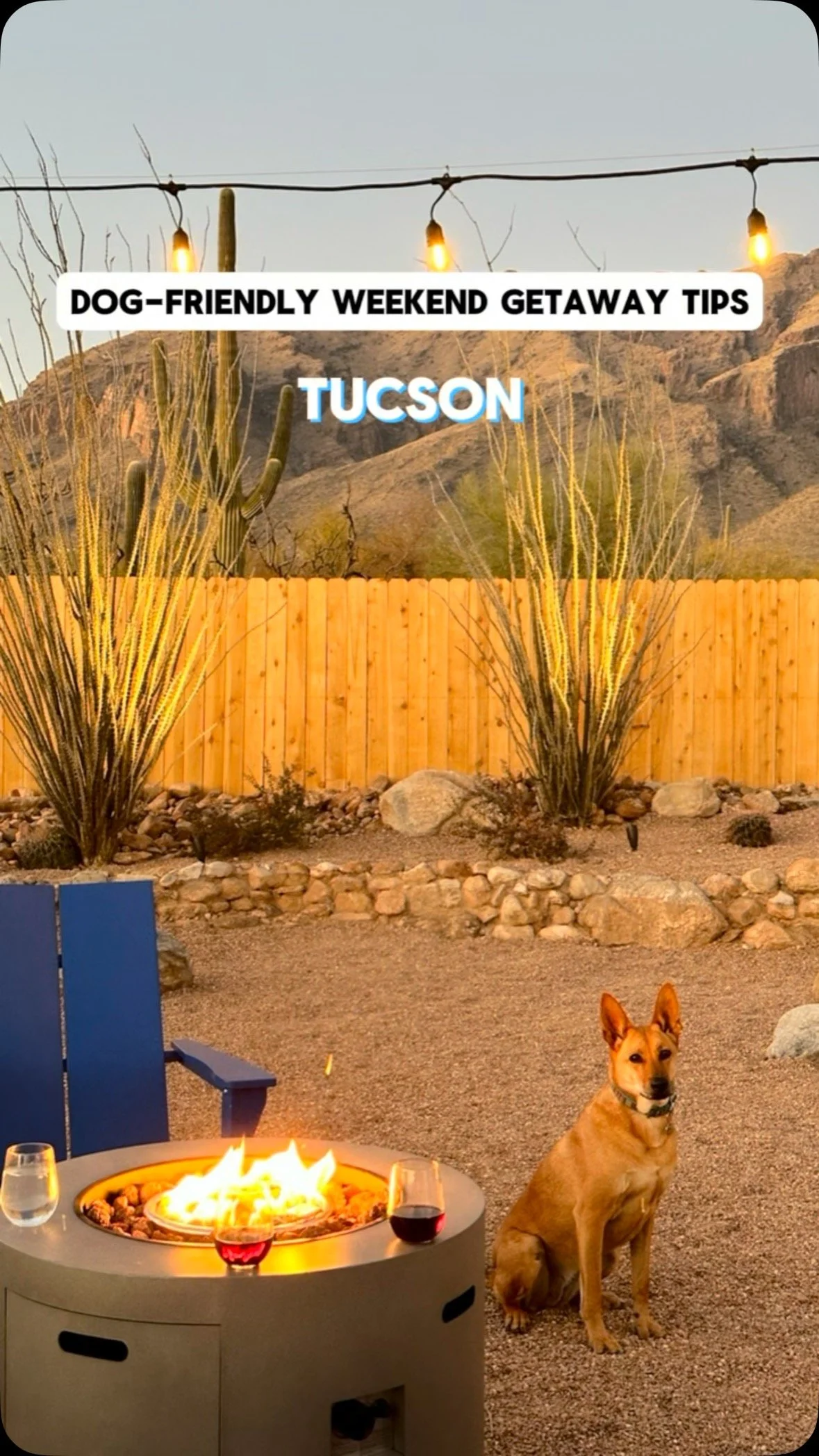 Night Sky Viewing in Tucson — Vacay in Tucson