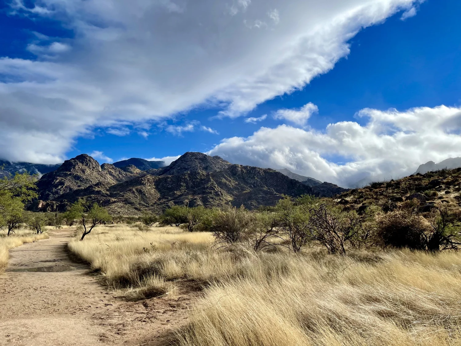 Best Hiking Trails in Tucson, AZ (2025 Guide) | Top 11 Must-Do Hikes ...