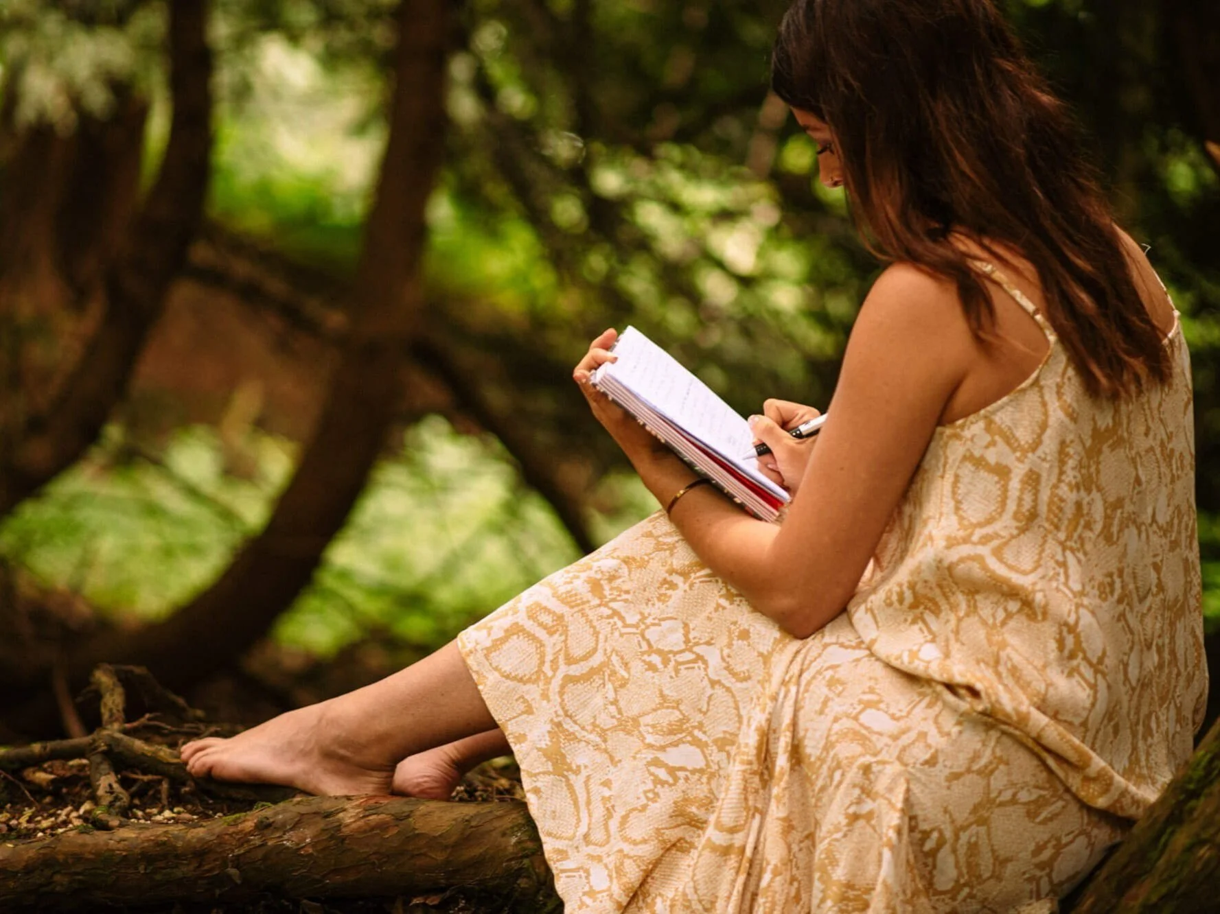 About Amber — The Wild Wordsmith