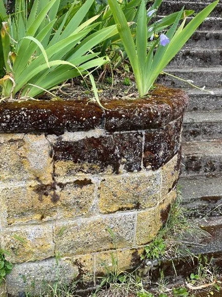 The Wizard of Concrete Block — Queen Anne Historical Society
