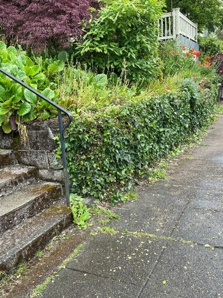 The Wizard of Concrete Block — Queen Anne Historical Society