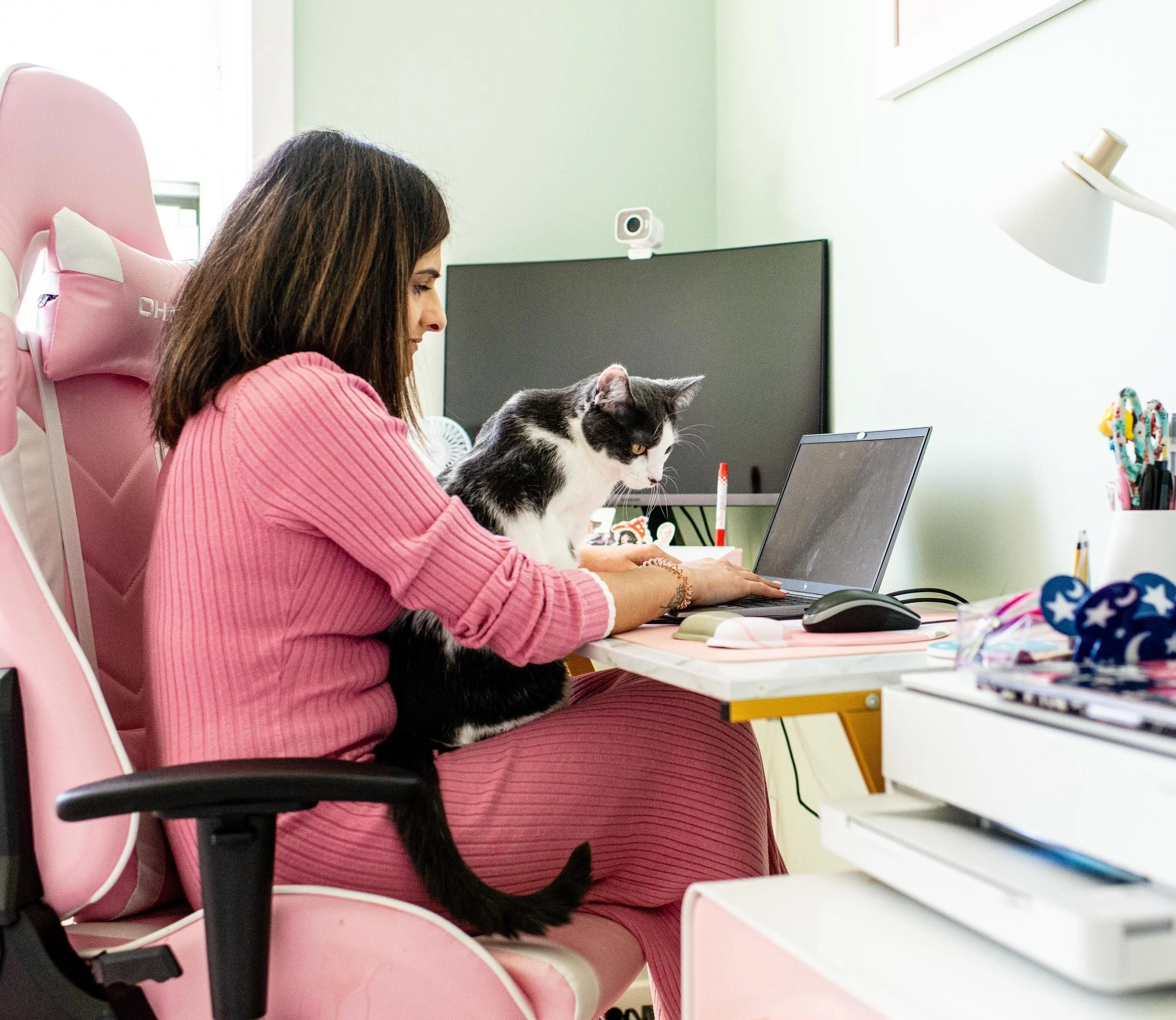 Workshops — Full Circle Cats