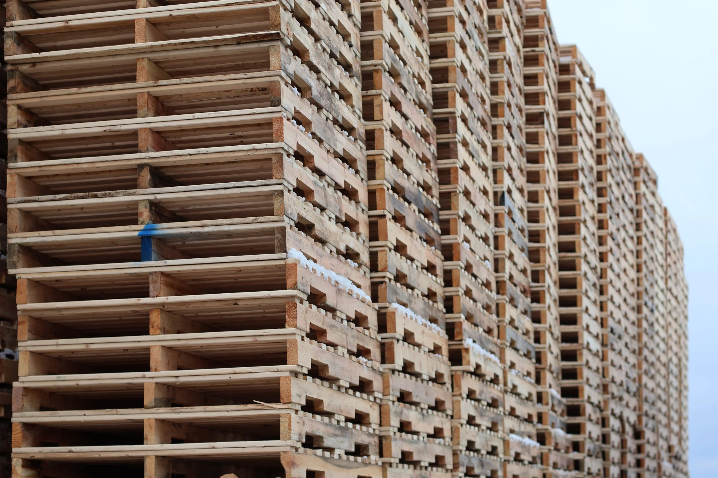 Contact Us — Advanced Pallet Ltd