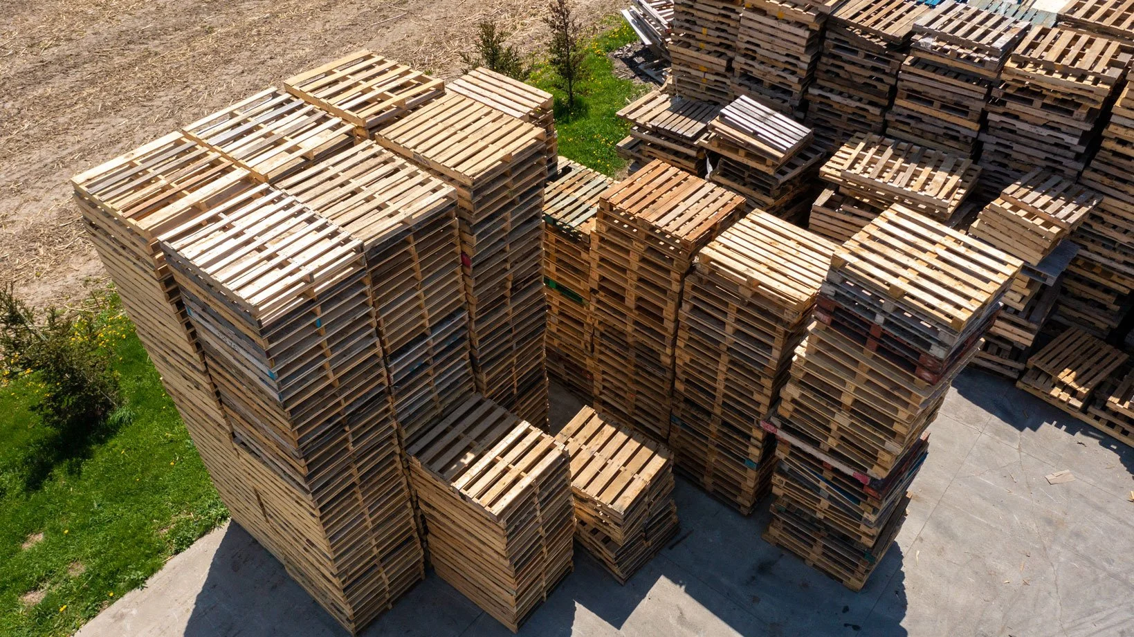 Advanced Pallet Ltd