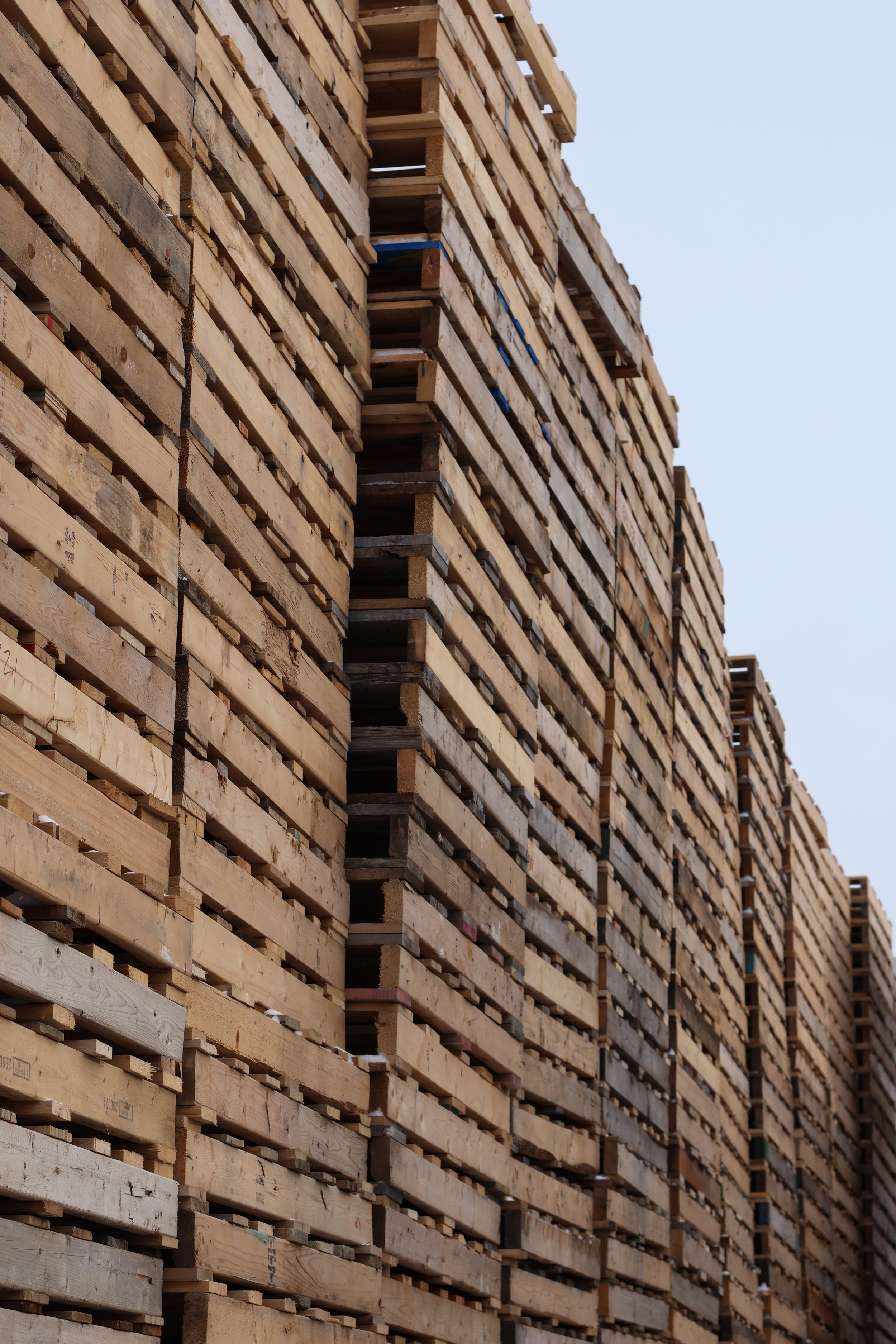 About Us — Advanced Pallet Ltd