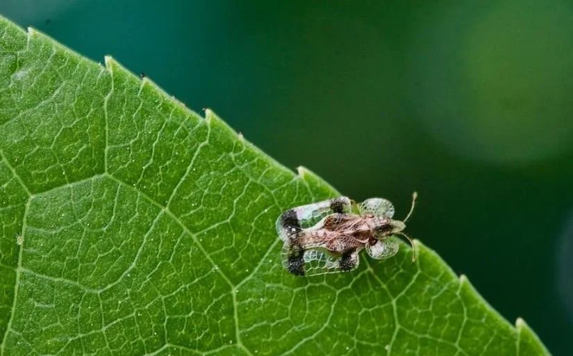 Our Team — Sand Creek Regional Greenway