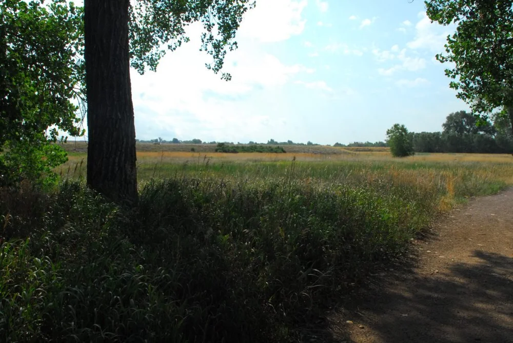 Animals & Plants — Sand Creek Regional Greenway