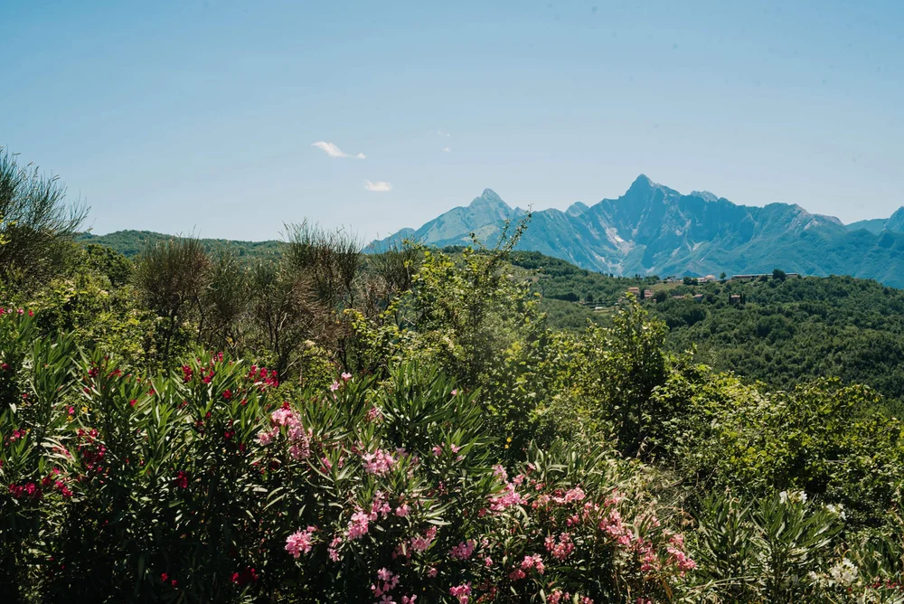 About — Annette Joseph Style Workshops