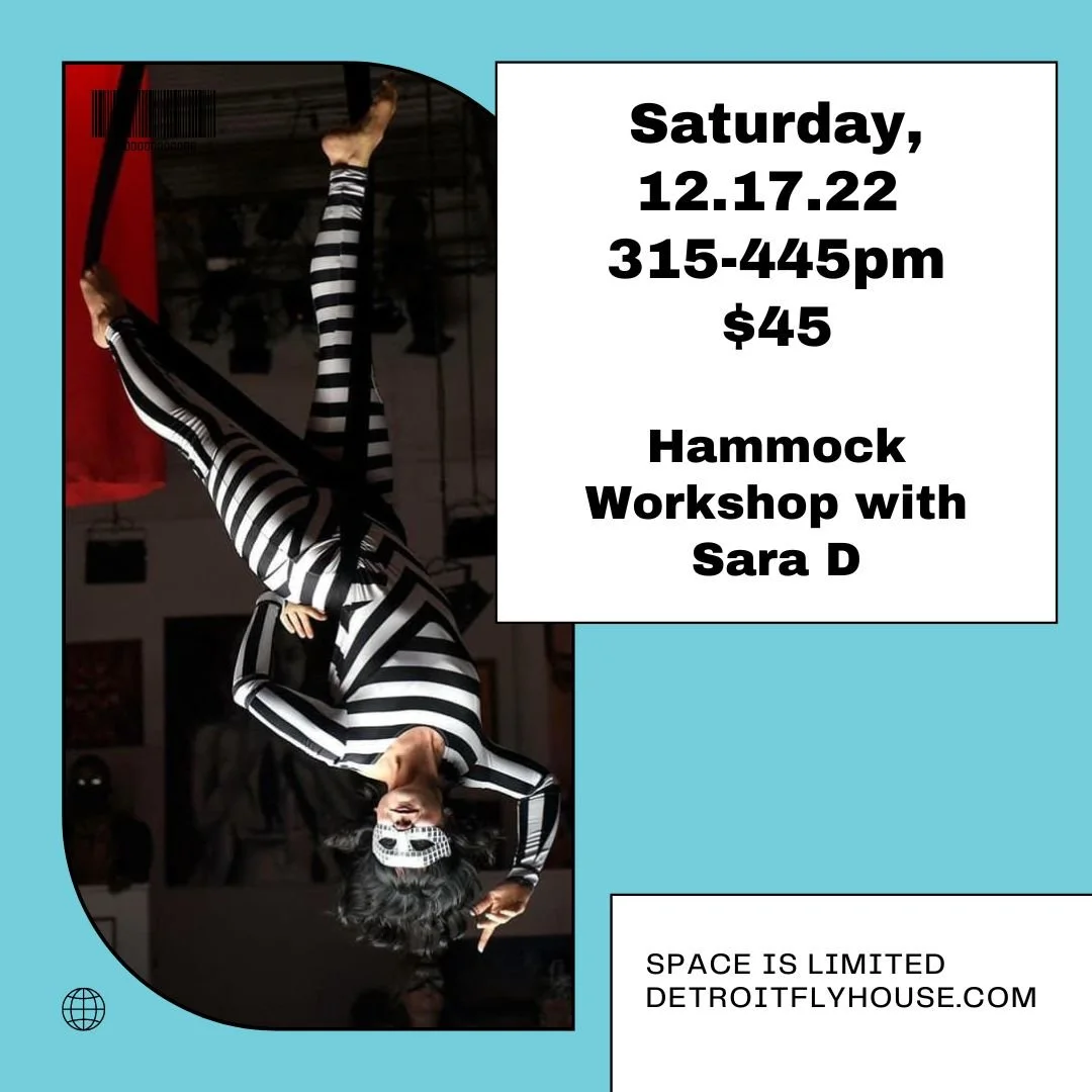 Class Sign Up — Detroit Flyhouse