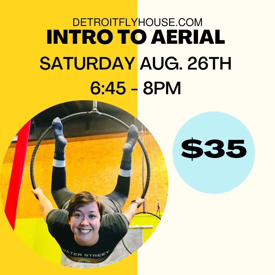 Detroit Flyhouse